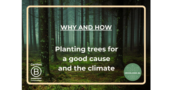 Planting Trees for a good cause and the climate