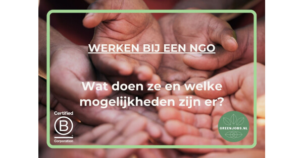 Werken bij een NGO: Wat houdt het in?