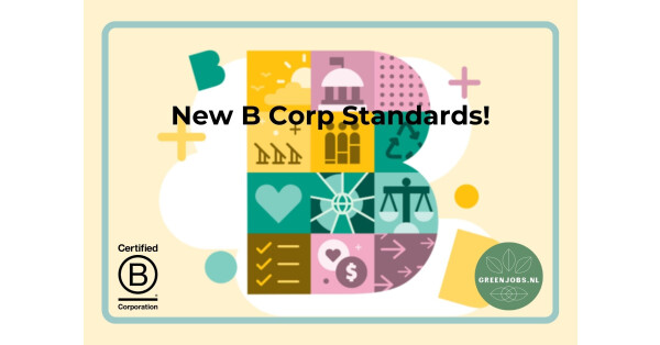 B Corp certification: These are the new standards (and why they matter)